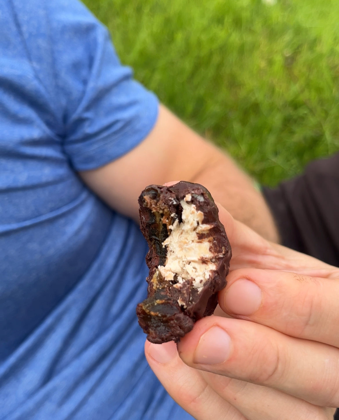 Bounty Stuffed Dates | Nibbed Cacao