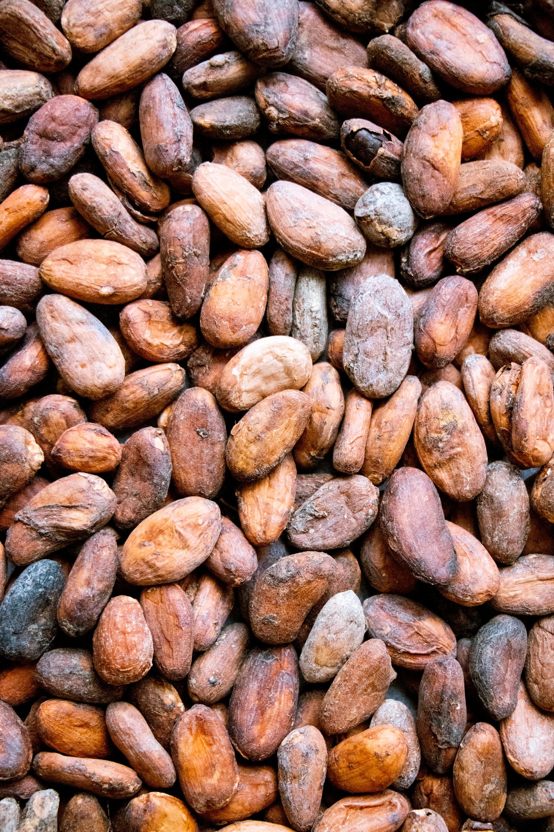 Pure Organic Cacao Block 300g | Nibbed – Nibbed Cacao